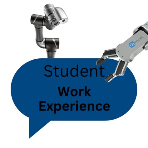 Local Student Work Experience Lg Motion Ltd