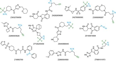 Photoaffinity Compounds Enamine