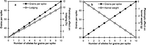 Two Kinds Of Pleiotropic Effects Exemplified By The Pleiotropic Effects