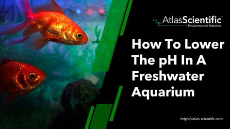 How To Lower The Ph In A Freshwater Aquarium Atlas Scientific