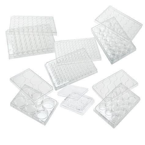 CLS 3500 TISSUE CULTURE PLATES TC TREATED FLAT BOTTOM STERILE
