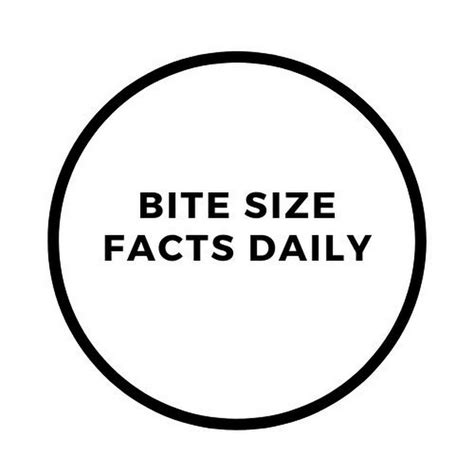 Bite Size Facts Daily Youtube