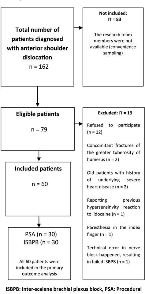 Figure 1 From Ultrasound‐guided Interscalene Nerve Block Vs Procedural