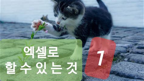 9재밌는 엑셀 매크로 Vba 실전활용 로또 Youtube