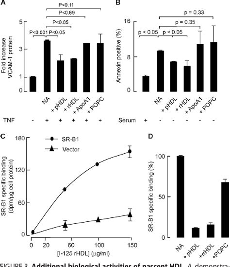 Figure 1 From Double Superhelix Model Of High Density Lipoprotein Semantic Scholar