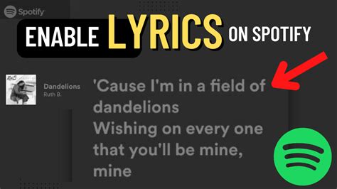 How To See Song Lyrics On Spotify Pc Mobile Artofit