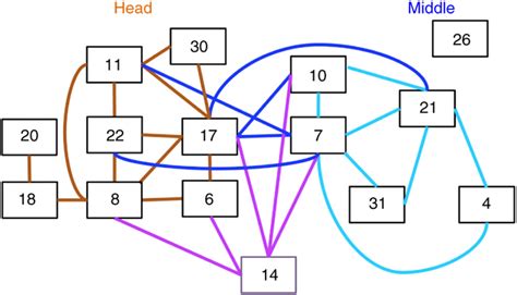 Schematic Representation Of Subunit Interactions In The Human Core