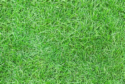 Grass Pattern Tileable