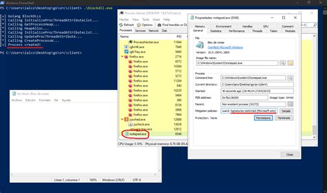 malware development 9 protecting processes as blockdlls golang d3ext