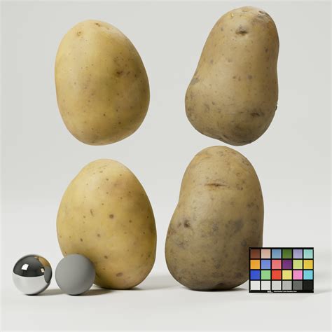 Potato 3ddigital