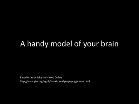 Handy Model Of Brain