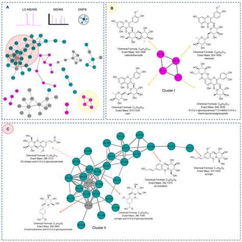 Global Natural Products Social Gnps Based Molecular Networking Guided