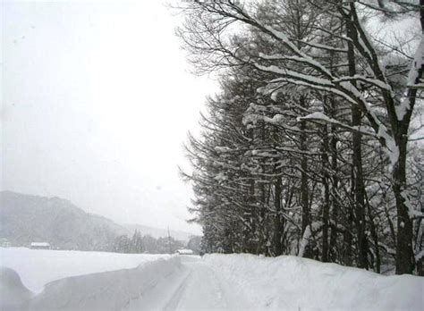 雪中散歩 鉄馬と青い空