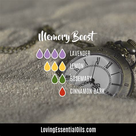 Diffuser Blends For Memory Boosting Best Essential Oils Loving