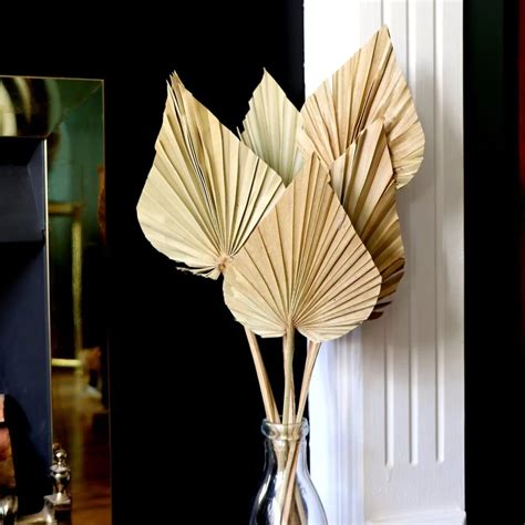 St Ck Palm Fan Blatt Getrocknete Blume Mini Palmbl Tter In