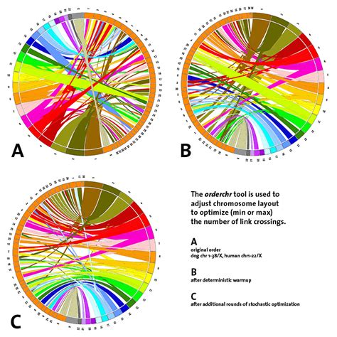 Circos Tutorials Helper Tools Bundling Links Circos Circular Genome Data Visualization