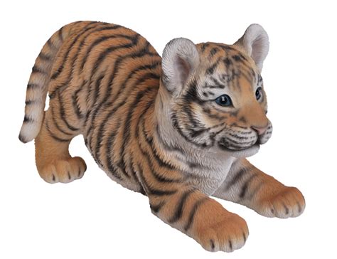 Collection Of Png Cub Pluspng