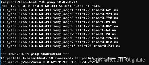 Virtual Box Vagrant 快速搭建 Linux 虚拟开发环境vagrant安装到其他盘 Csdn博客