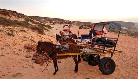 Mpce Recomenda Que Prefeitura De Jijoca De Jericoacoara Proíba