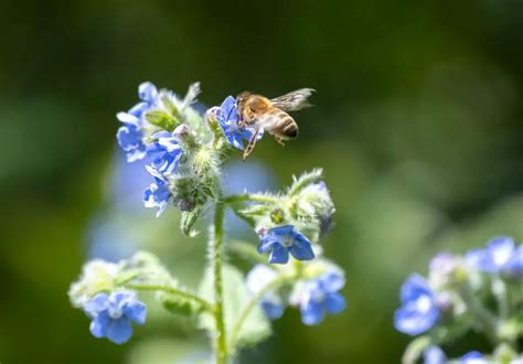 Shutter Speed Calculator What Should I Use