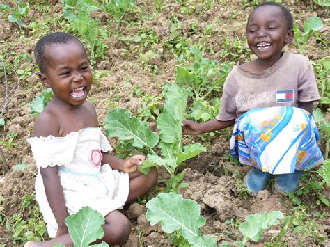 Self Help Foundation Uganda Self Help Foundation Uganda