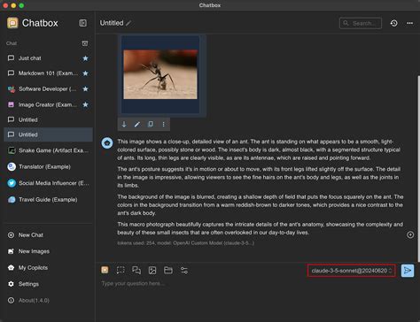 Introduction OpenAI API Proxy Community OpenAI Developer Community