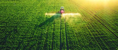 The Indorama Compass Our Guiding Principles And Values