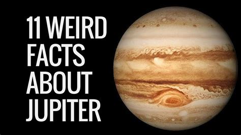 Jupiter Facts Infographic Best Infographics