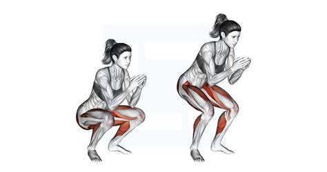 Lateral Bound Guide Benefits And Form