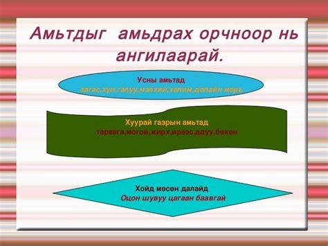 амьтдын амьдралын орчин гэж юу вэ