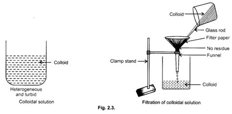Cbse Class 9 Science Practical Skills Solution Colloids Suspension