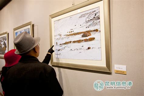 首届 发现之旅”摄影大赛作品在昆展出 海洋财富网