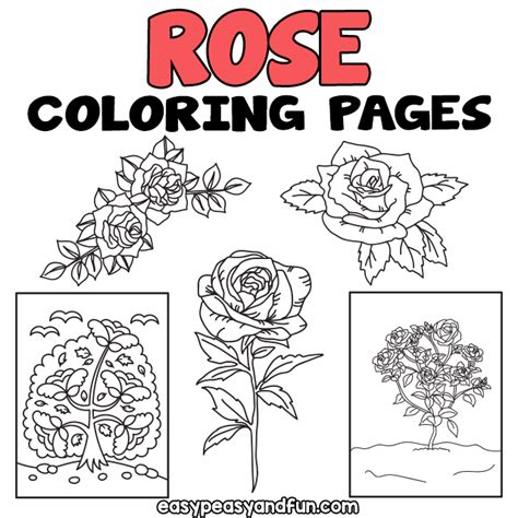 Free Printable Coloring Pages Of Roses
