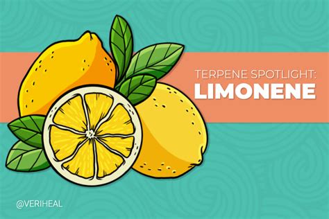 Terpene Spotlight Enjoying The Many Benefits Of Limonene