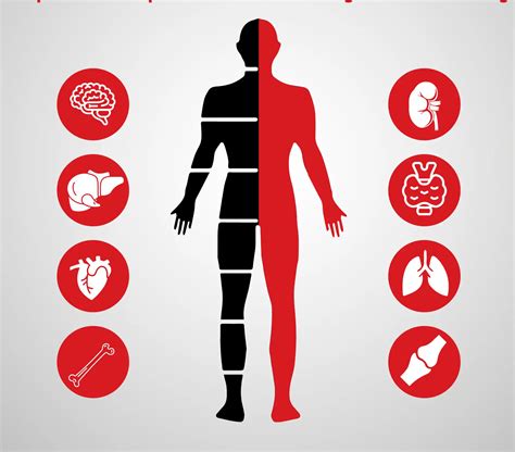 Best Packages For Full Body Health Checkup Healthcarediagnostic