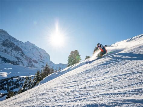 Grindelwald Ski Pass