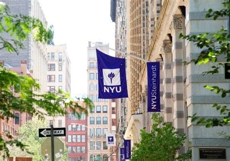 Online Masters Degrees In Counseling Counseling Nyu