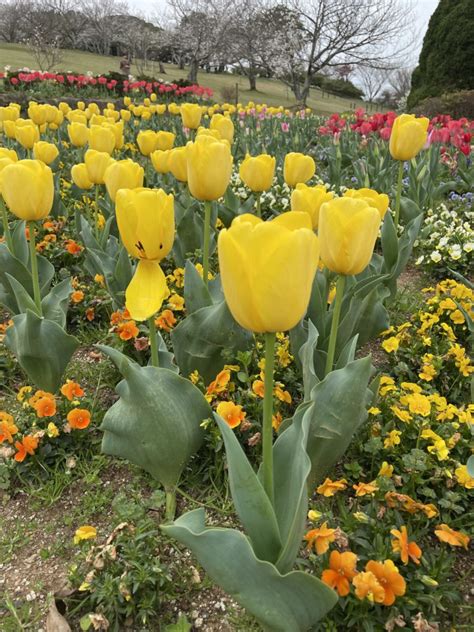 能古島 福岡市近郊・粕屋郡の家のリフォーム・修理専門の株式会社岡本工務店