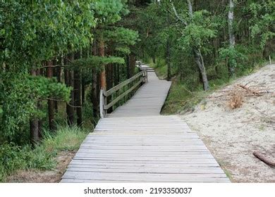 12 234 Tree Lined Walk Way Images Stock Photos Vectors Shutterstock