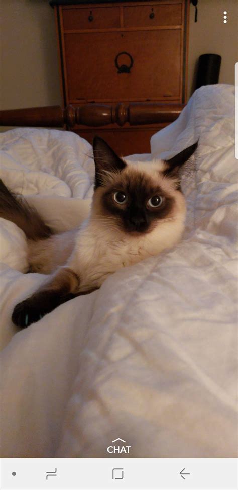 Shes Cute But Also An Asshole R Aww
