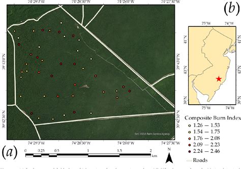 figure 1 from estimation of plot level burn severity using terrestrial