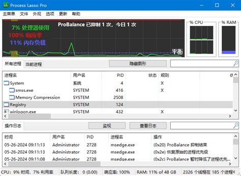 Process Lasso进程优化工具 Pro V150035 多语便携版