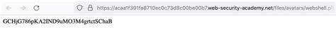 portswigger s web shell upload via content type restriction bypass