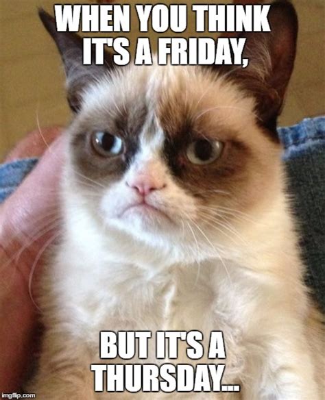 Grumpy Cat Meme Imgflip