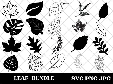Leaf Svg Bundle Leaves Svg Bundle Leaf Clipart Leaf Svg Cut Files