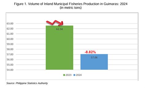 Guimaras Functional Difficulty By Sex 2020 Cph Philippine Statistics