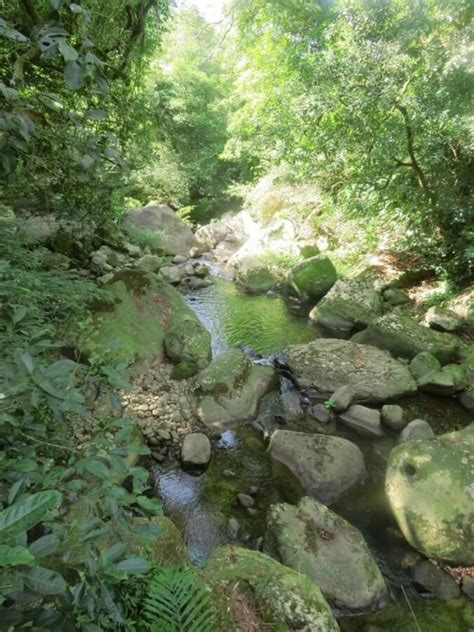 台北から行けるハイキング〜 陽明山 坪頂古圳步道 で水路を辿る 台湾ストーリー