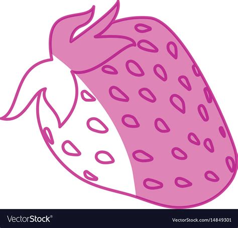 Strawberry Delicious Fruit Royalty Free Vector Image