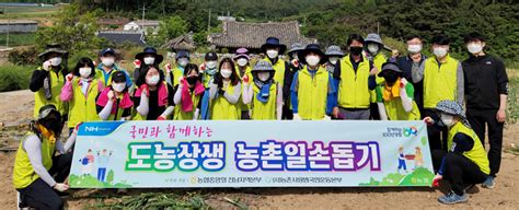 전남농협 무안 양파수확 일손돕기에 구슬땀 위키트리