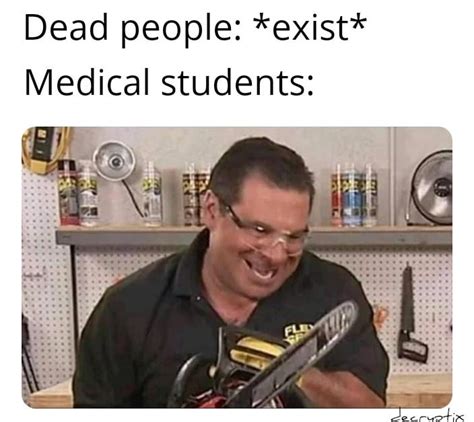 Anatomy 101 Meme Rmedicalschool